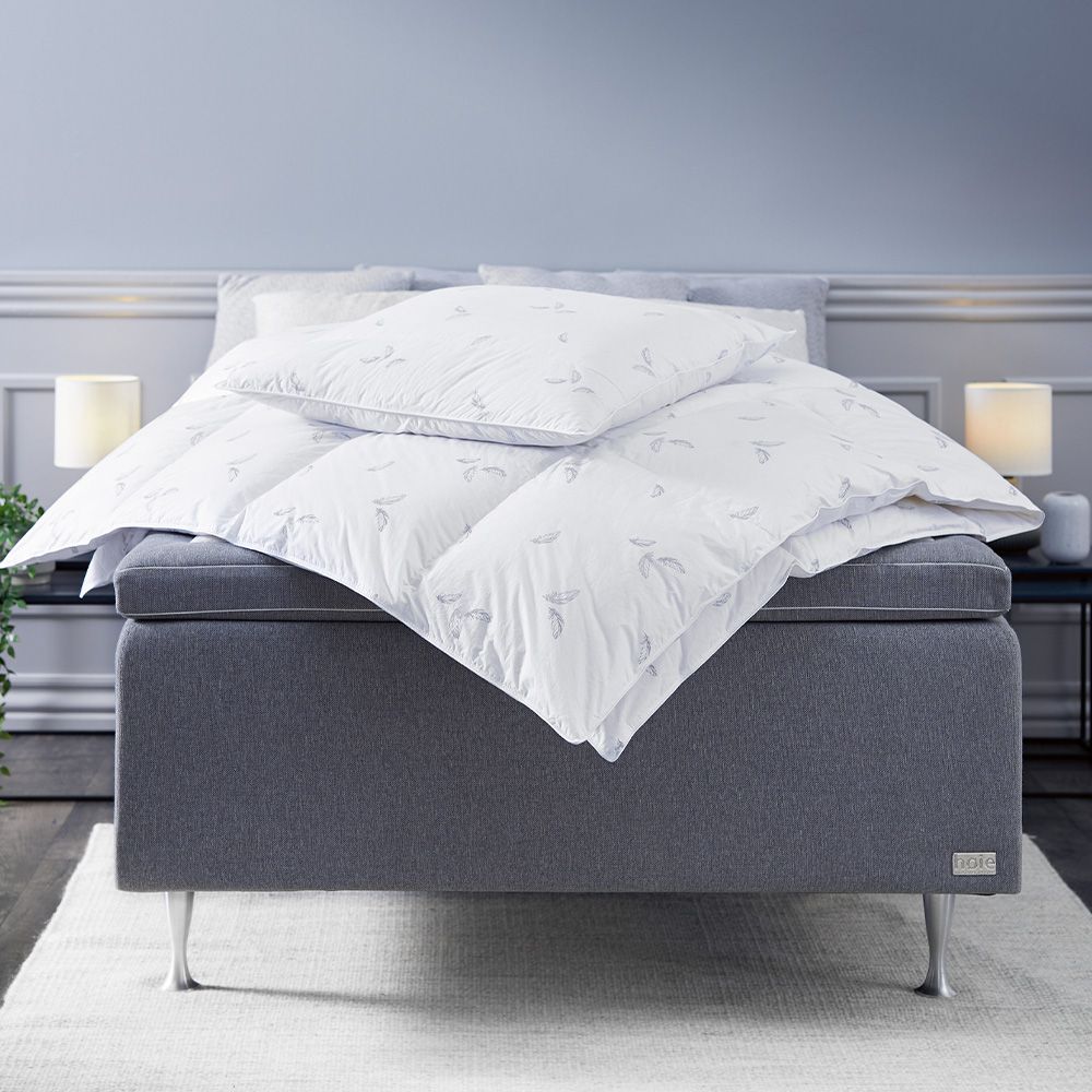 Pagalvė KRONBORG BEITO 50x70cm - JYSK - Visada puikūs pasiūlymai