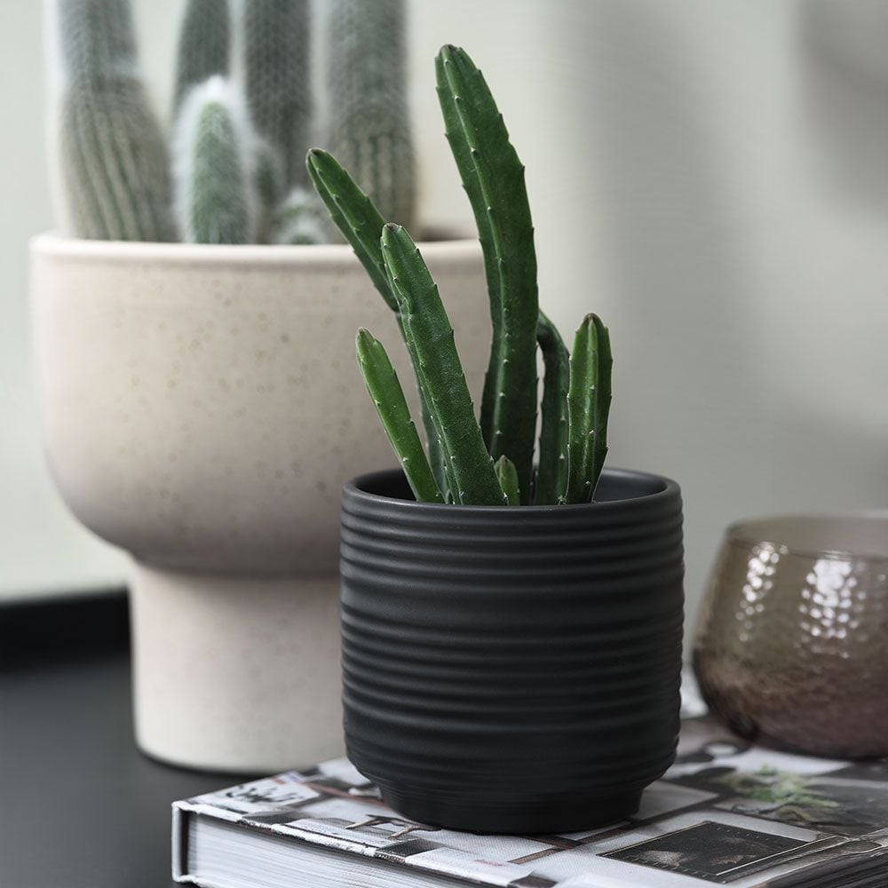 Vazonas HAMPUS Ø11 x 11 cm - JYSK - Visada puikūs pasiūlymai