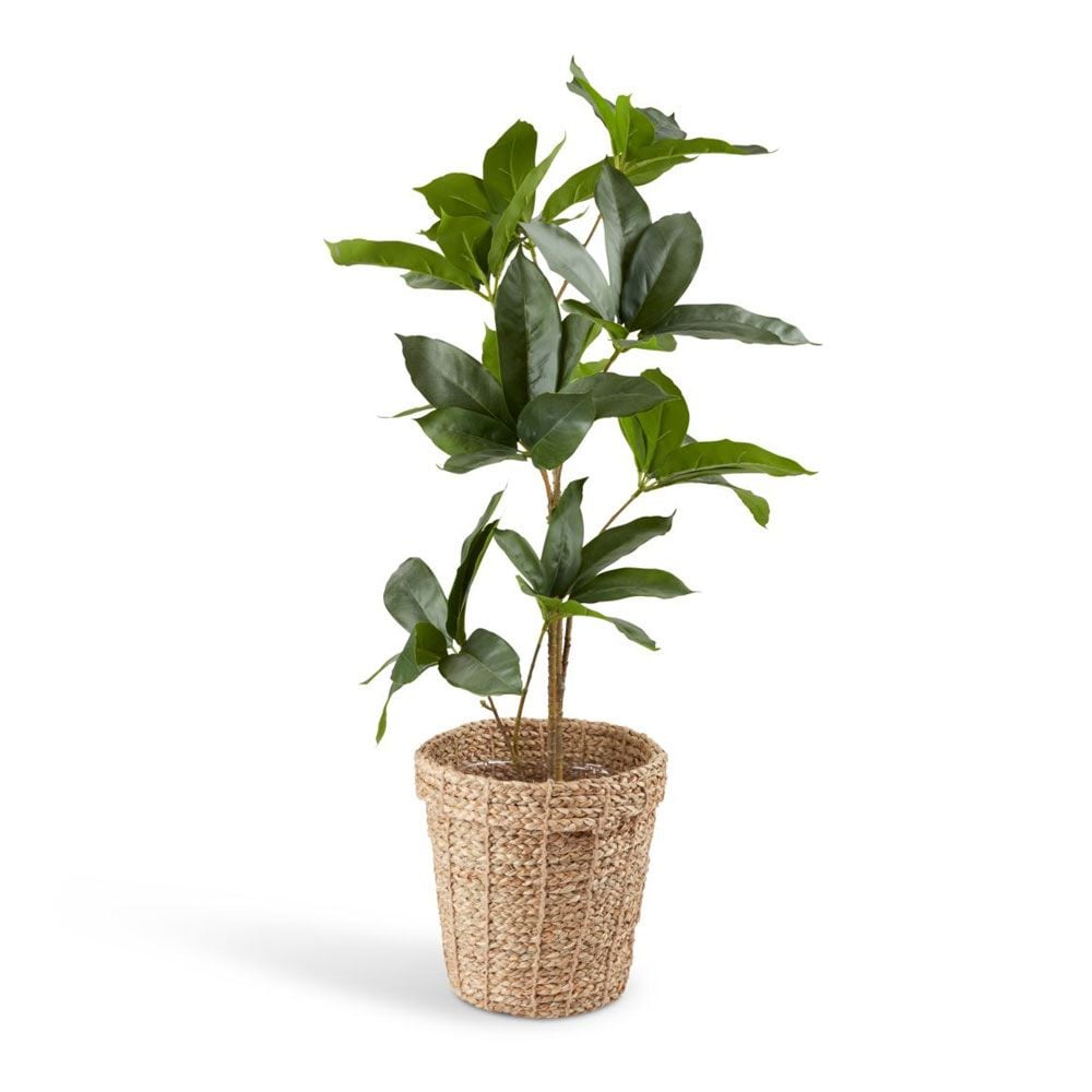 Vazonas ERIK Ø25 x 24 cm - JYSK - Visada puikūs pasiūlymai