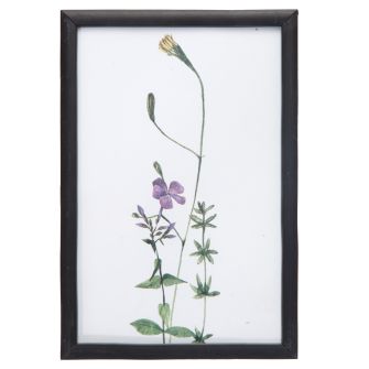 RĖMELIAI - DEKORACIJOS - INTERJERAS - Visada puikūs pasiūlymai